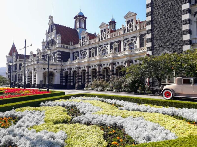 From Dunedin: City, Otago Peninsula & Albatross Guided Tour - Duration & Value