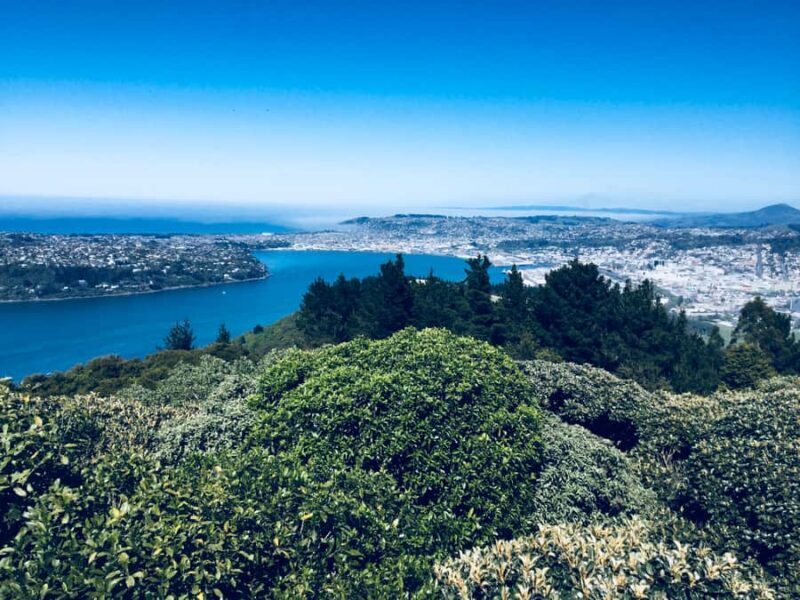 From Dunedin: City, Otago Peninsula & Albatross Guided Tour - Weather & Clothing Tips