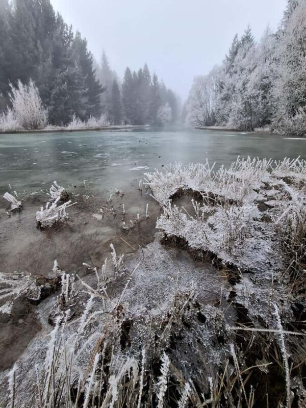 From Dunedin: Mt. Cook and Lake Pukaki Private Day Tour - An In-Depth Look at the Tour Experience