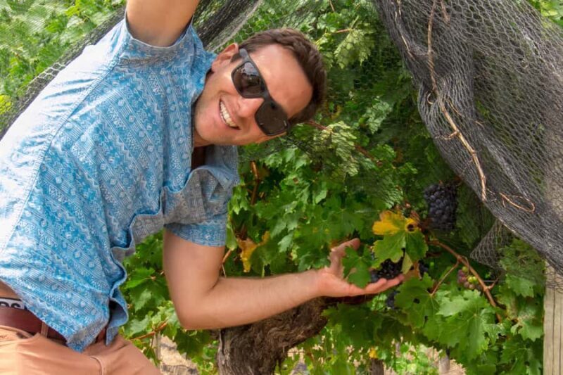 From Dunsborough/Busselton: Margaret River Wine Adventure - Key Points