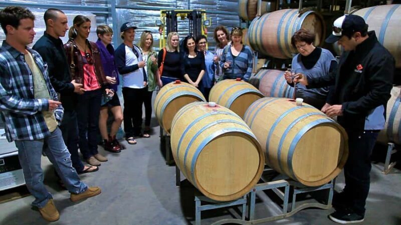 From Dunsborough/Busselton: Margaret River Wine Adventure - Practical Considerations and Tips