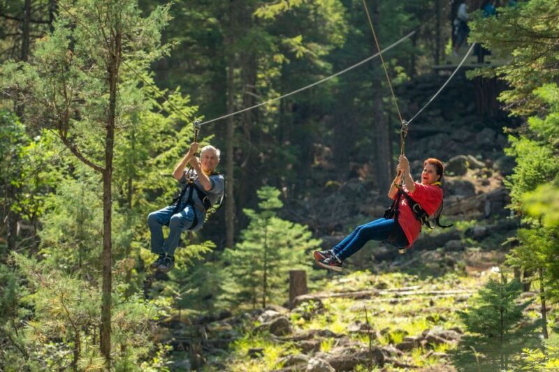 From Durango: All-Day Zipline Adventure with Train & Lunch - Key Points