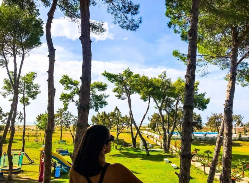 From Durrës: Karavasta Lagoon Boat & Watchtower Day Tour - What Makes This Tour Stand Out?