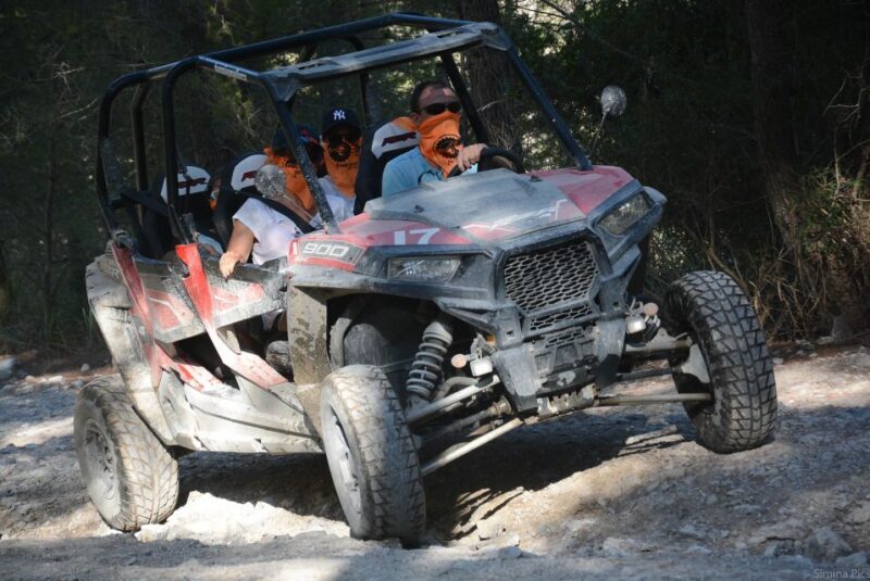 From East Mallorca: Guided Beach and Mountain Buggy Tour - Key Points  