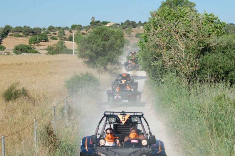 From East Mallorca: Guided Beach and Mountain Buggy Tour - Practical Details and Tips  