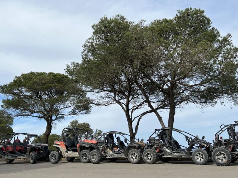 From East Mallorca: Guided Beach and Mountain Buggy Tour - What Reviewers Say  