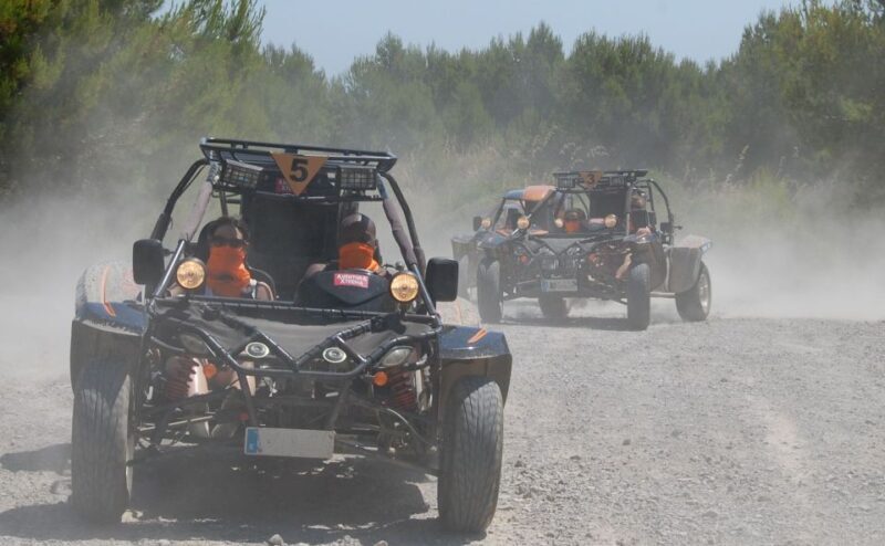 From East Mallorca: Guided Beach and Mountain Buggy Tour - Who Would Love This Tour?  