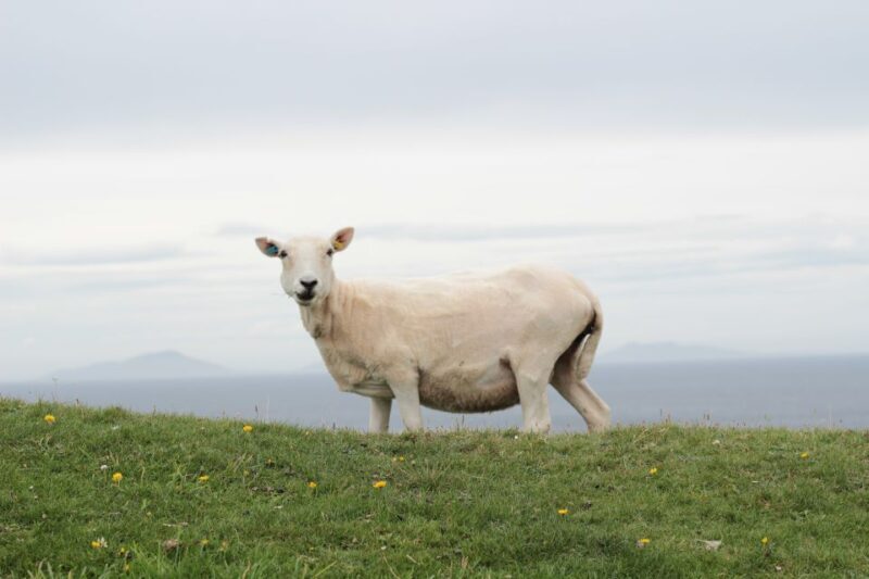 From Edinburgh: 2-Day Highlands Tour with Hogwarts Express - FAQ