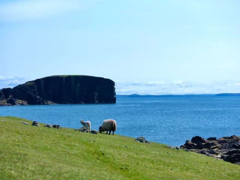 From Edinburgh: 6-Day Shetland & Nothernmost Explorer - A Complete Look at the 6-Day Shetland & Northernmost Explorer Tour