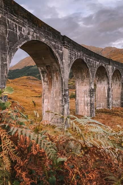 From Edinburgh: Glenfinnan, Fort William and Highland Cows - The Sum Up