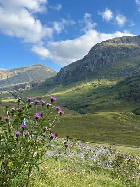 From Edinburgh: Glenfinnan, Fort William and Highland Cows - FAQ