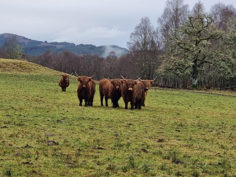 From Edinburgh: Loch Ness Private Day Tour with Transfers - Key Points