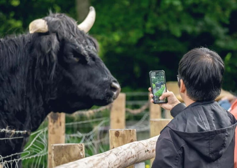 From Edinburgh: Stirling Castle, Kelpies and Loch Lomond - An In-Depth Look at the Itinerary