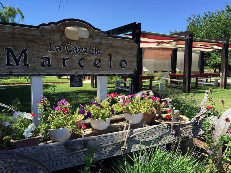 From Ensenada: Ojos Negros Valley Cheese & Wine Tasting Tour - Why This Tour Stands Out