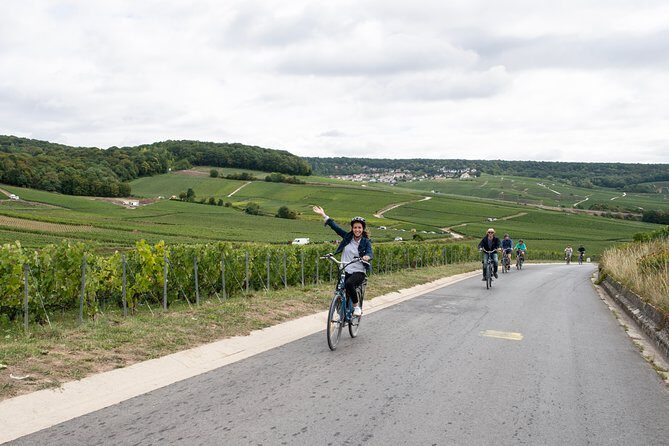 From Epernay Full day Electric bike Champagne and lunch - Who Will Love This Tour?