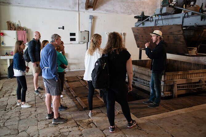 From Epernay Full day Electric bike Champagne and lunch - FAQs