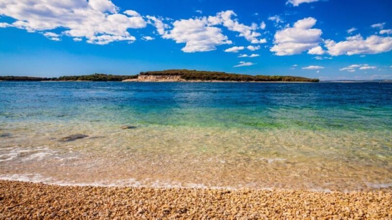 From Faana: Private boat tour of Brijuni Islands - An In-Depth Look at the Brijuni Private Boat Tour