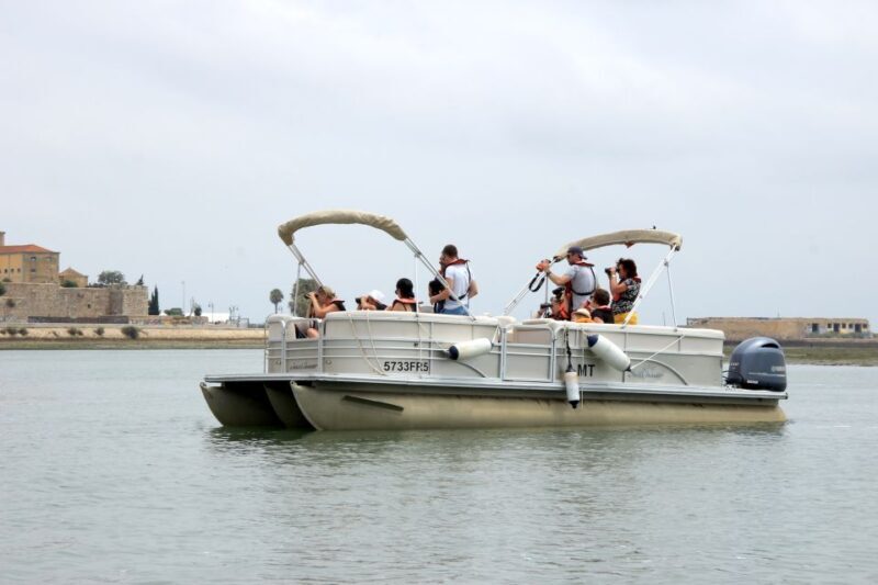 From Faro: 2-Hour Guided Bird Watching Boat Trip - FAQs about the Faro Bird Watching Boat Tour  