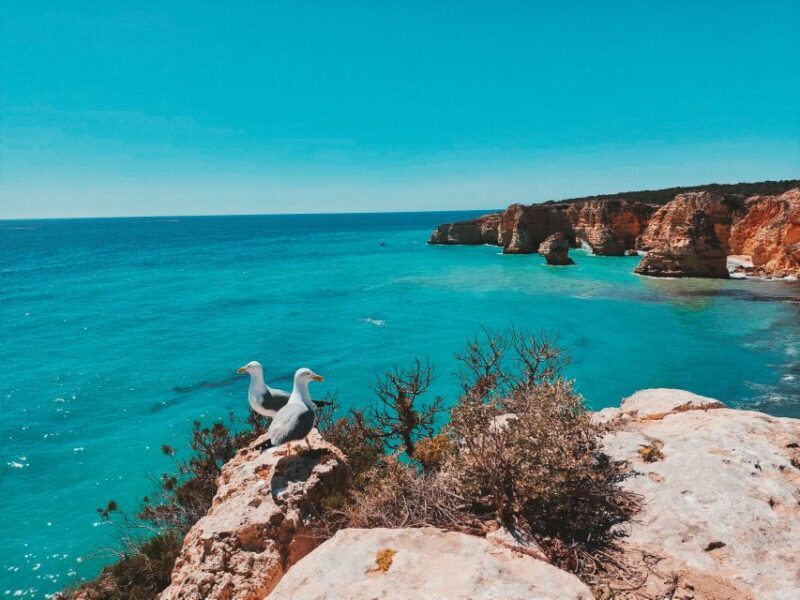 From Faro: Benagil Cave, Marinha & Carvoeiro Full-Day Tour - Who Should Consider This Tour?