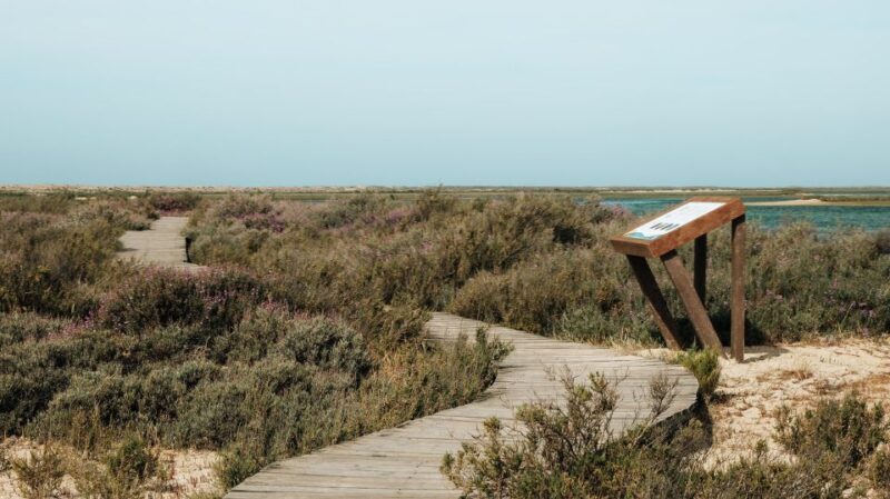 From Faro: Catamaran Boat Trip to Deserta Island with Stop - Frequently Asked Questions