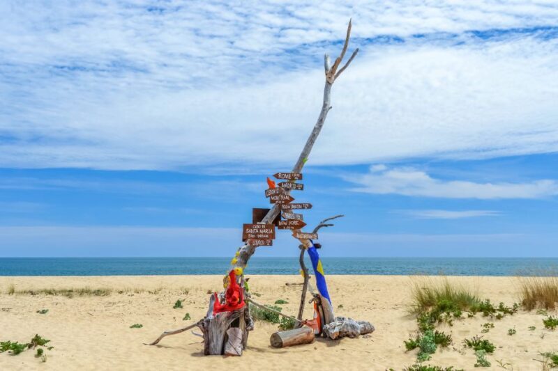 From Faro: Ria Formosa Eco Tour guided by Marine Biologist - A Deep Dive into the Ria Formosa Eco Tour