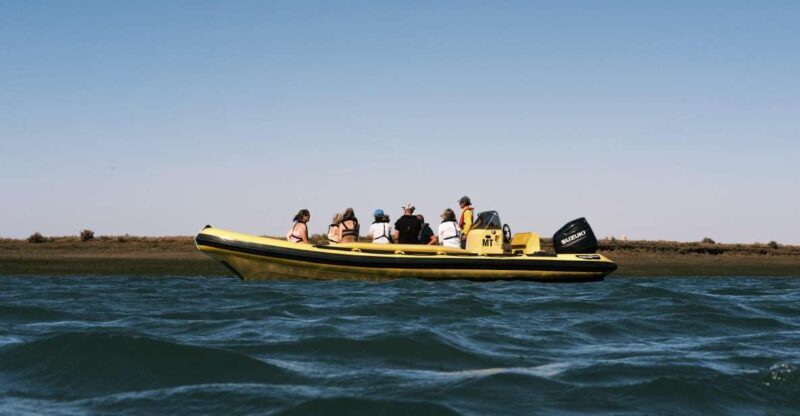 From Faro: Ria Formosa Eco Tour guided by Marine Biologist - Who Would Love This Tour?