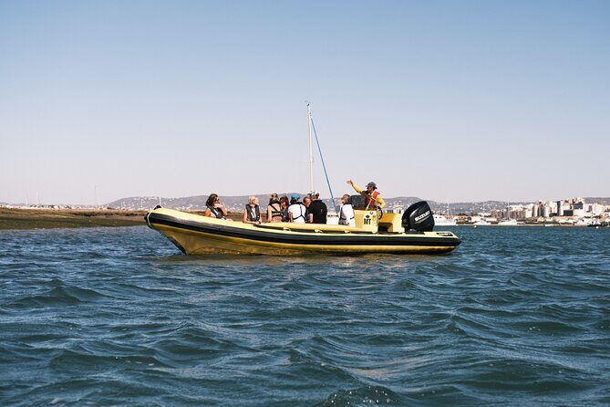 From Faro: Ria Formosa Eco Tour guided by Marine Biologist - What to Expect on Ilha Deserta  