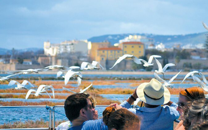 From Faro: Ria Formosa Eco Tour guided by Marine Biologist - Accessibility and Booking  