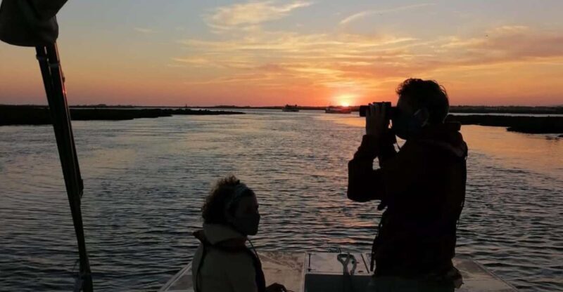 From Faro: Ria Formosa Sunset Boat Trip - The Experience in Detail