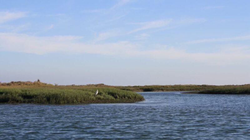 From Faro: Ria Formosa Sunset Boat Trip - FAQs