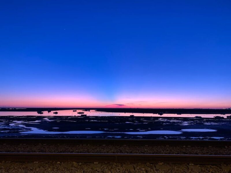 From Faro: Ria Formosa Sunset Boat Trip - The Sum Up