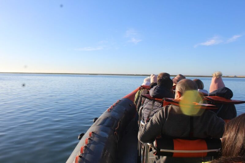 From Faro: Wildlife and Dolphin-Watching Speedboat Tour - Who Will Love This Experience?