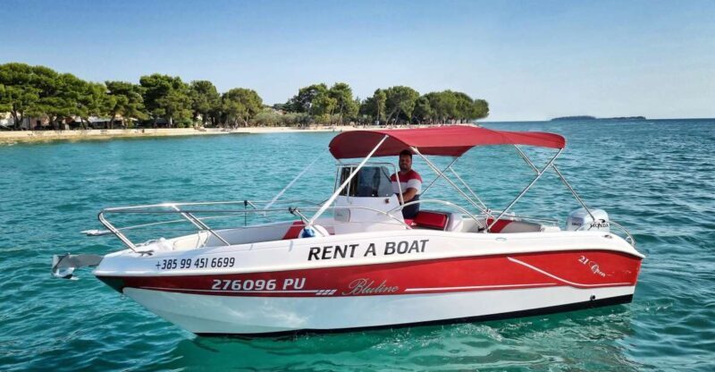 From Fazana: Private sunset dolphin tour - Key Points  