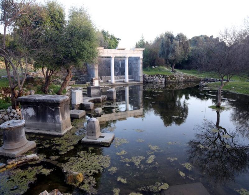 From Fethiye: Dalyan Day Trip with Mud Bath and Turtle Beach - In The Sum Up