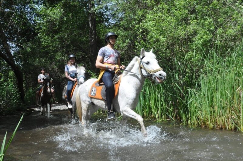 From Fethiye: Horse Riding Adventure - What to Expect on the Horse Riding Tour in Fethiye