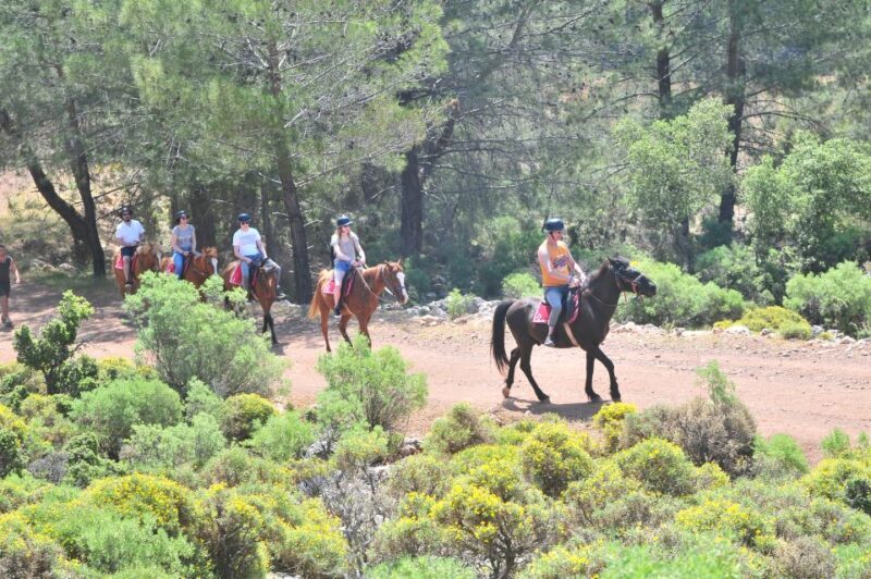 From Fethiye: Horse Riding Adventure - Who Will Love This Experience?