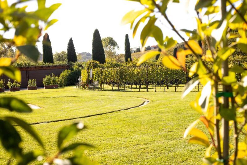 From Florence: Chianti Half-Day Wine Tour with Tasting - Key Points