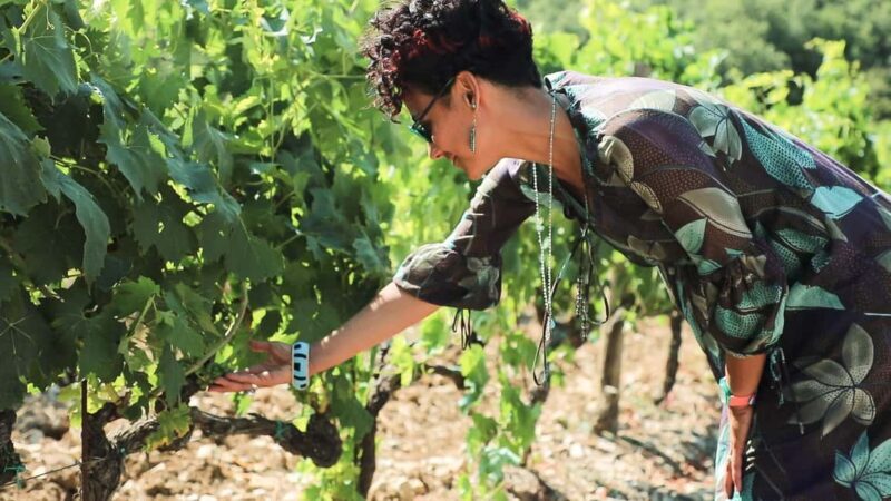 From Florence: Chianti Tour with Two Wine and Food Tastings - Key Points