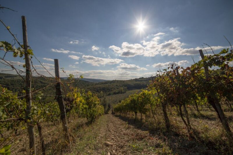 From Florence: Chianti Wine Tastings at Sunset Day Trip - Key Points