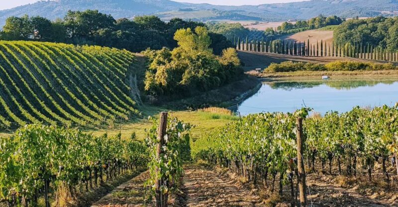From Florence: Chianti Wine Tastings at Sunset Day Trip - Discovering the Charm of Tuscany on a Sunset Wine Tour