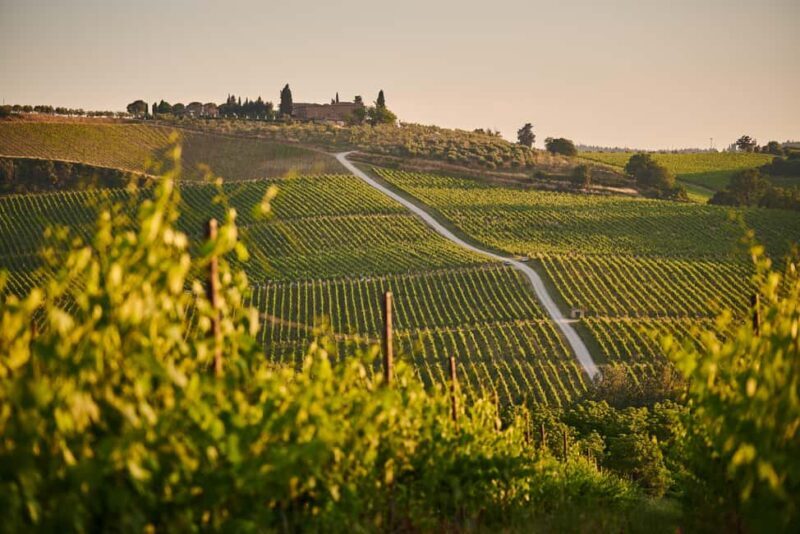 From Florence: Chianti Wine Tour with Driver-Guide - FAQs