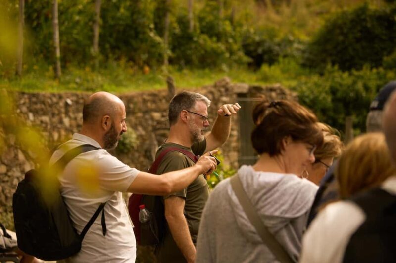 From Florence: Cinque Terre Day Trip with stop in Pisa - A Detailed Look at the Experience