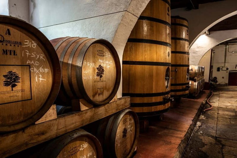 From Florence: Horse Ride and Wine Tour at Estate with Lunch - A Deep Dive into the Experience