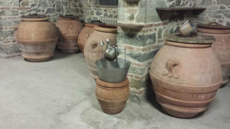 From Florence: Horseback Ride and Olive Oil and food tasting - An In-Depth Look at the Experience