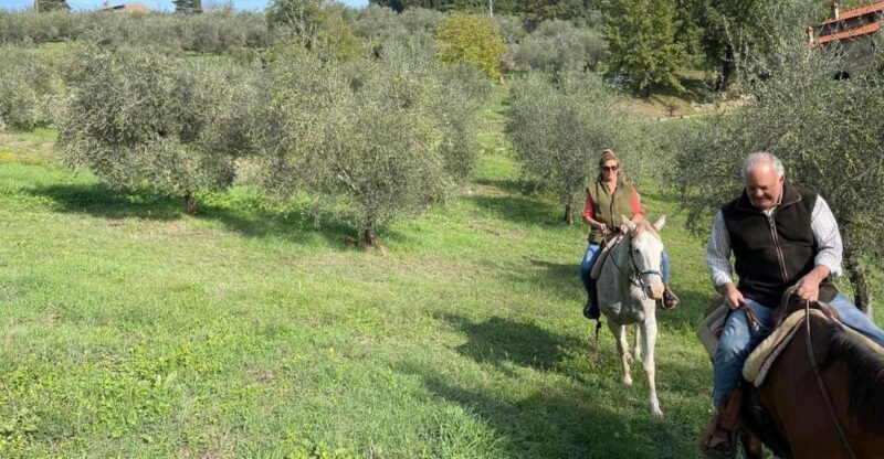 From Florence: Horseback Ride and Olive Oil and food tasting - The Sum Up