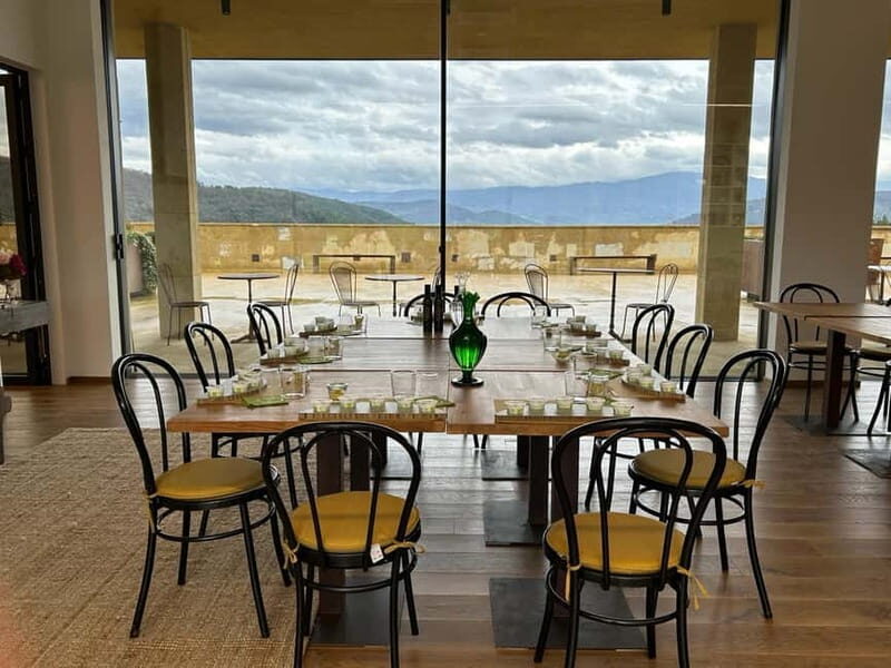 From Florence: Olive Oil Mill Tour and Tasting in Fiesole - Deep Dive: The Experience Details