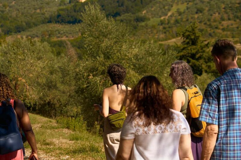 From Florence: Small Group Chianti Wine Tour with Lunch - Key Points