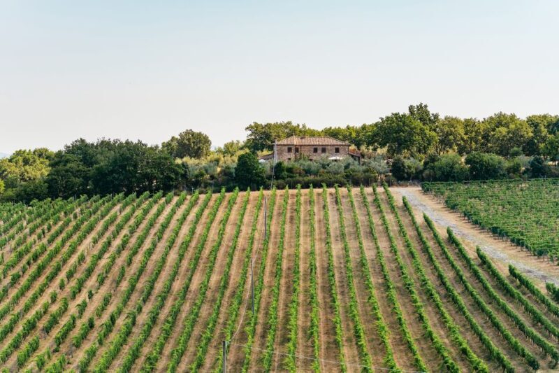 From Florence: Small Group Wine Tasting Tour to Tuscany - What to Expect at Each Winery