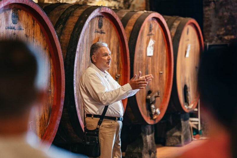 From Florence: Small Group Wine Tasting Tour to Tuscany - The Tasting Experience