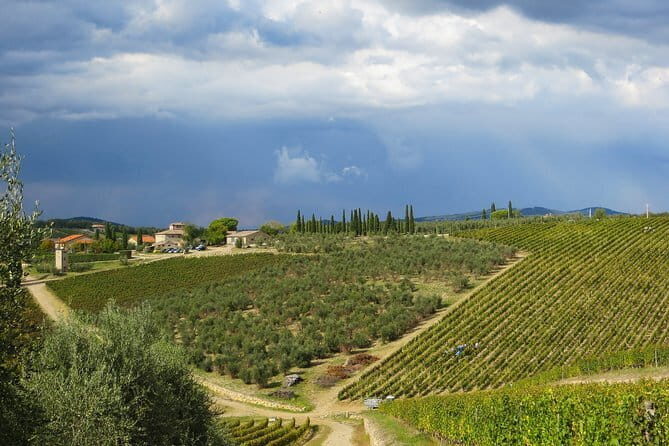 From Florence to Siena - San Gimignano & Pisa by private minivan - FAQ